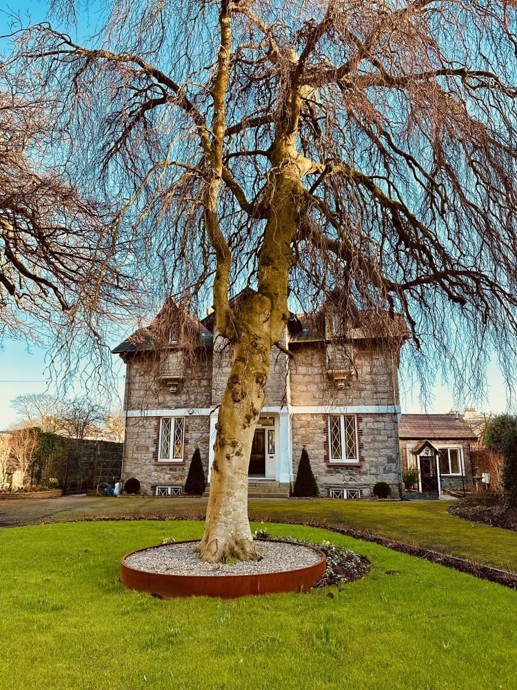Corten Tree Ring | Caltef Designs