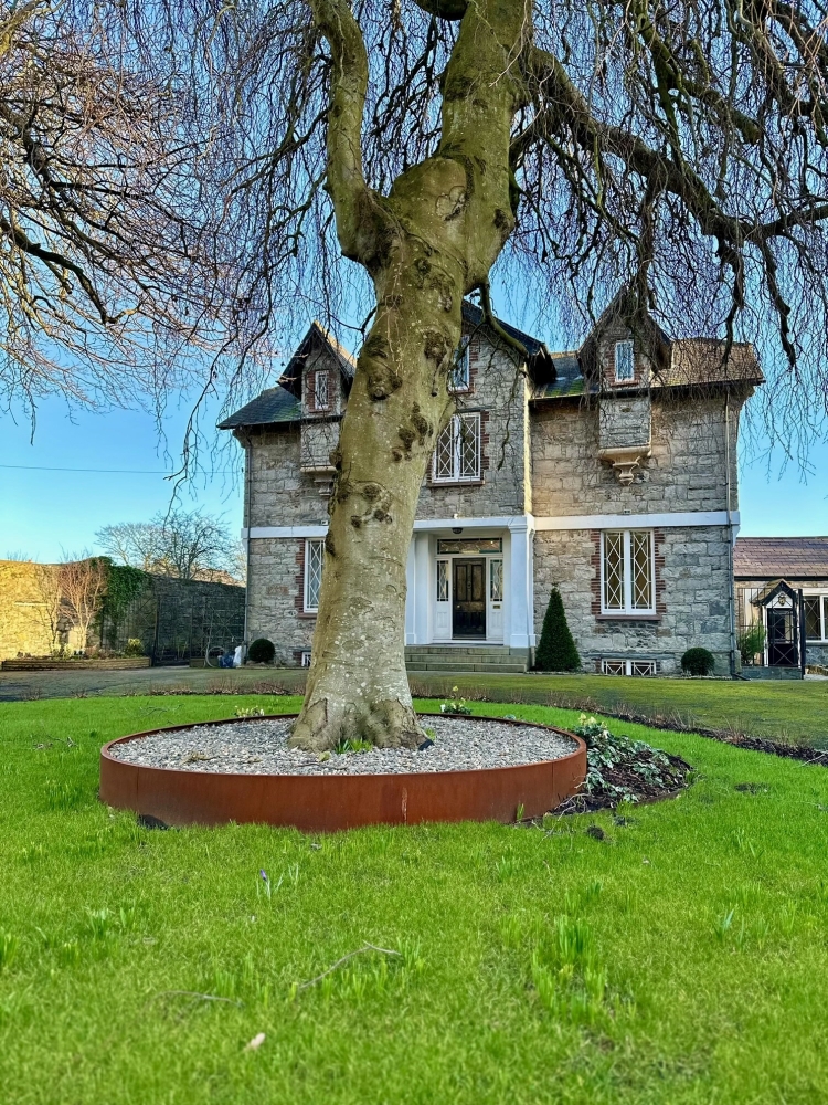Corten Tree Ring | Caltef Designs